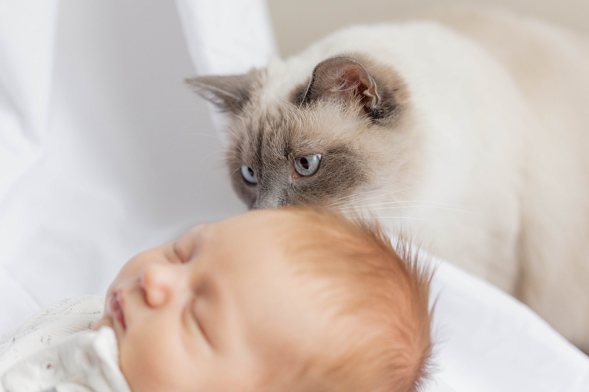 Winter Newborn Lifestyle Session | Baby Cade - Caitlin Page Photography ...